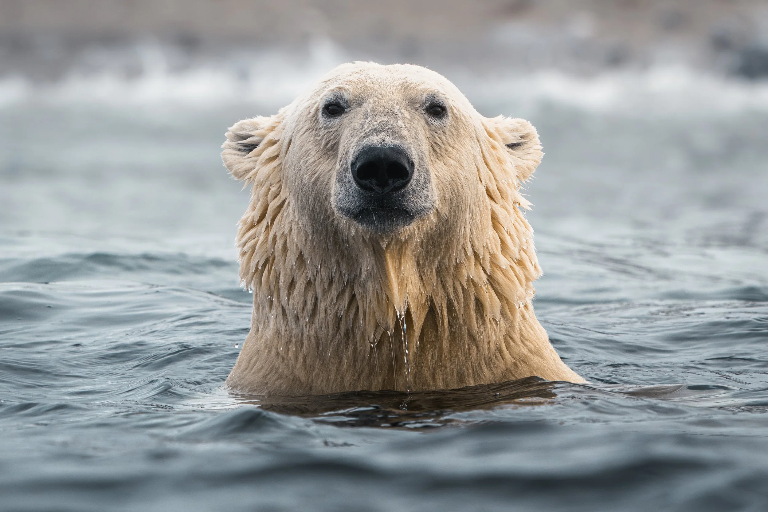 Up close — Konsta Punkka Photography