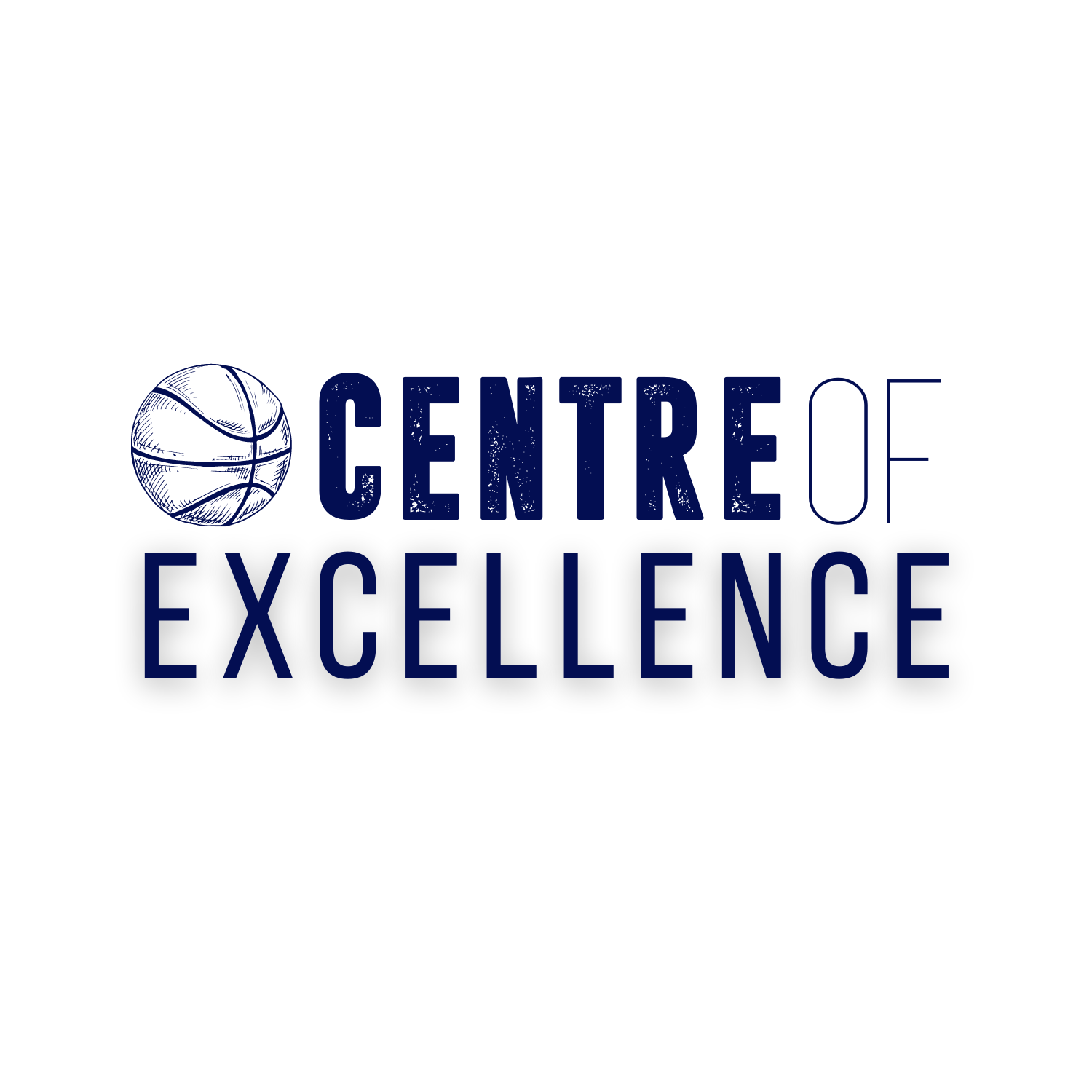 Centre Of Excellence | Info Page — Playground2Pro