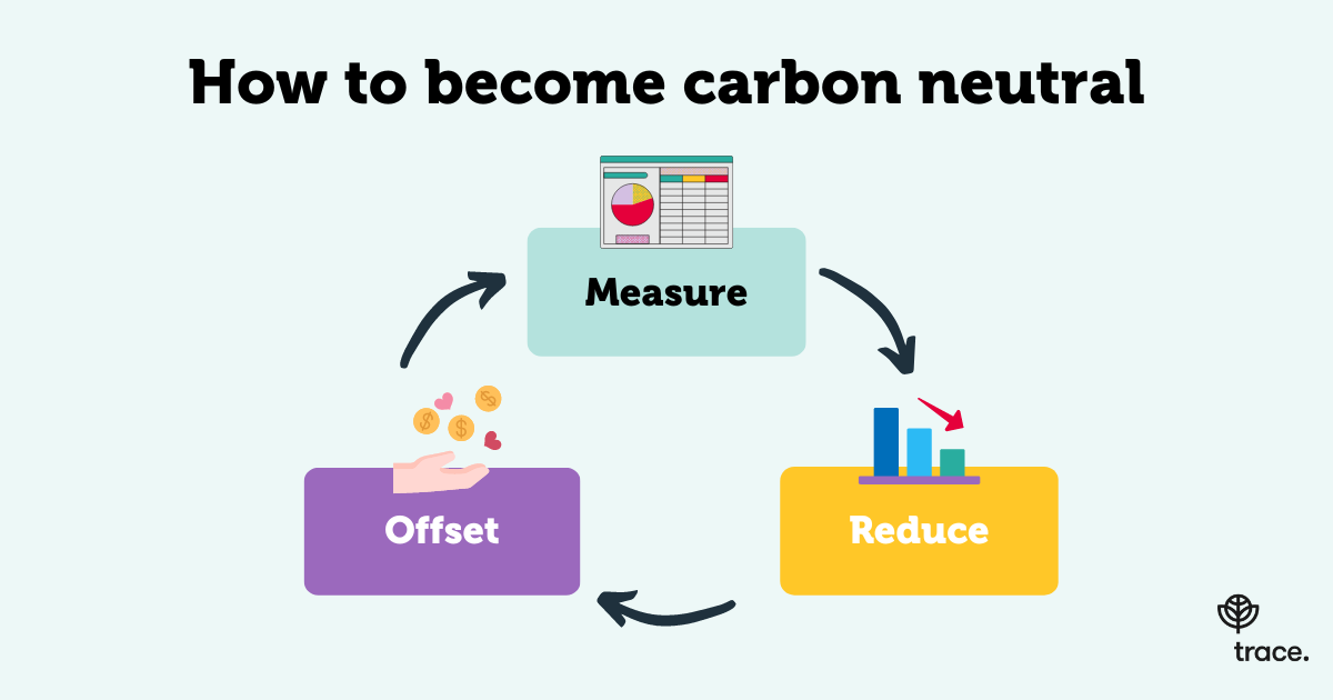How to become a carbon neutral business: A step-by-step guide from ...
