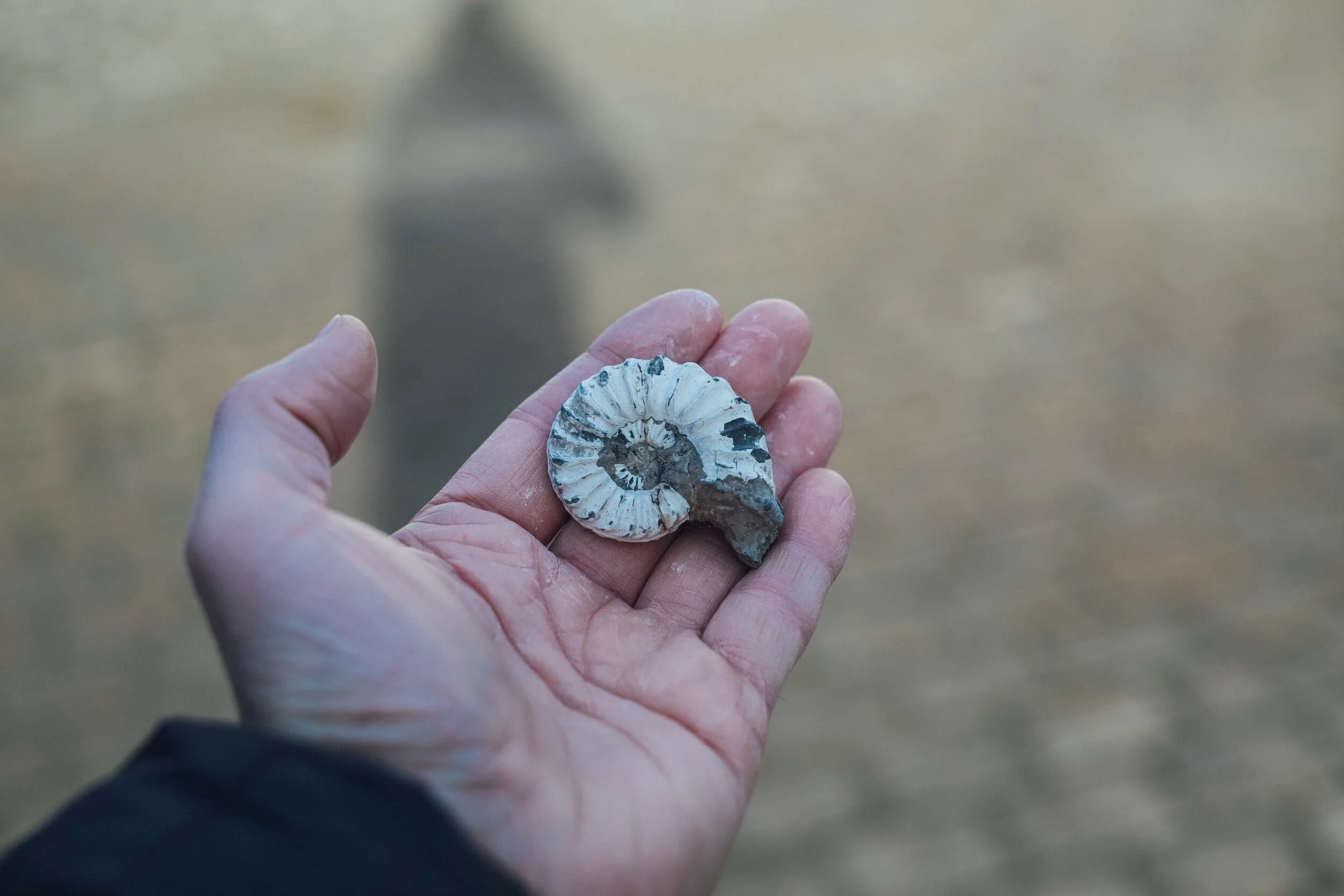 Guidelines for Heritage Finds — Found a Fossil