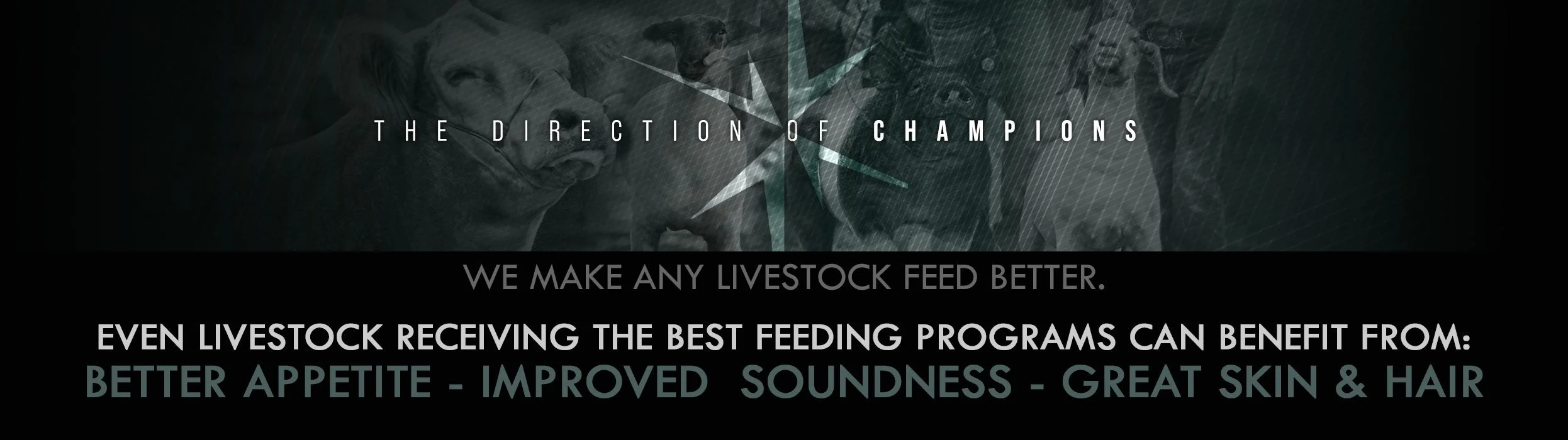 True North Technologies