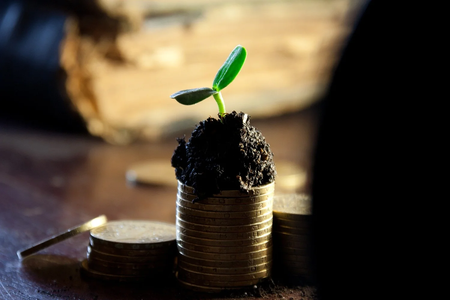 Intellitax Accounting Services | London— Smart-Ways-To-Grow-Small-Business