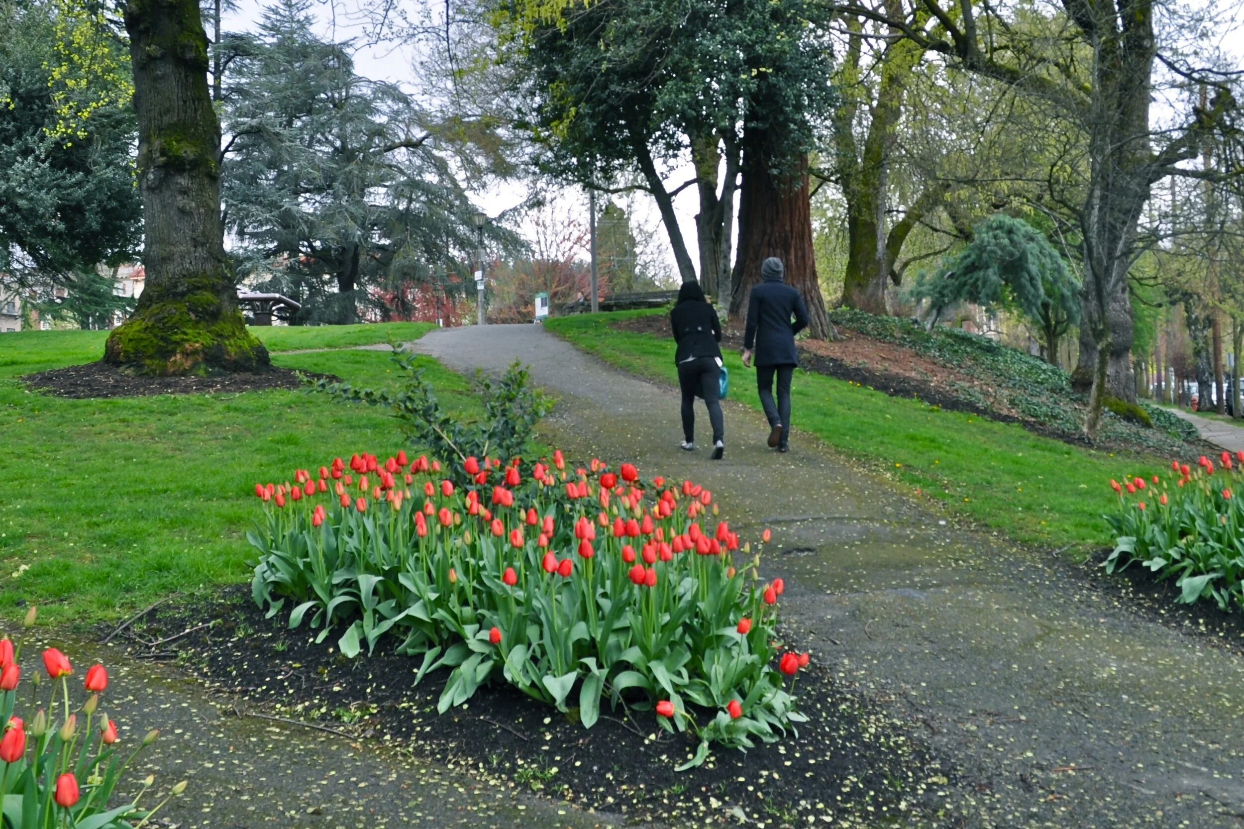 NW Portland Neighborhood | Northwest District Association