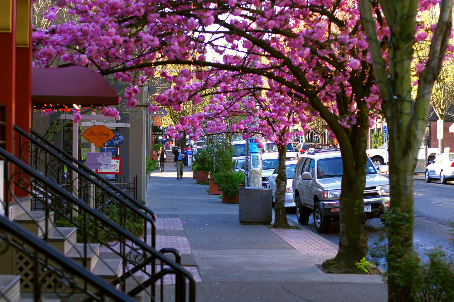 NW Portland Neighborhood | Northwest District Association