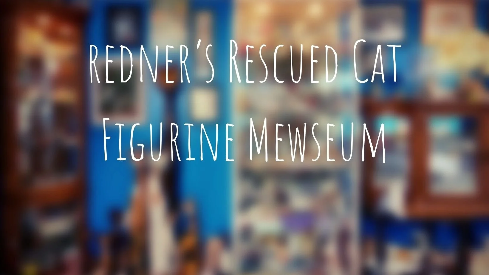 Upcoming Events — Almost Home Cat Rescue MKE