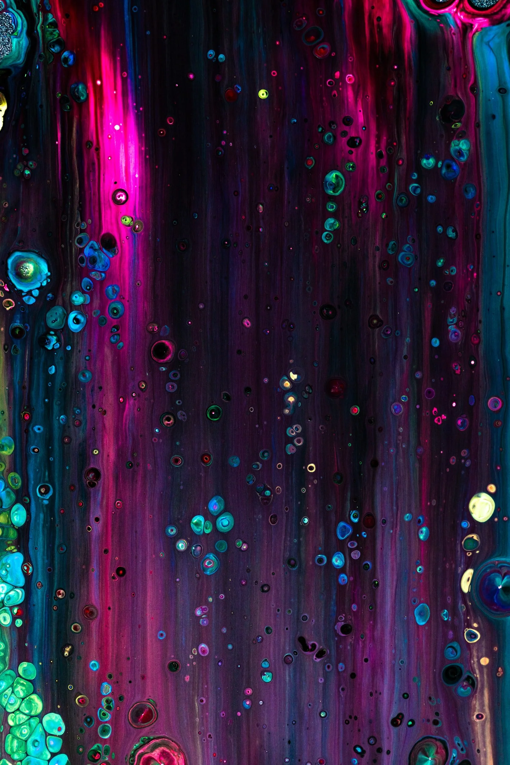 Who We Are — DISCO Network