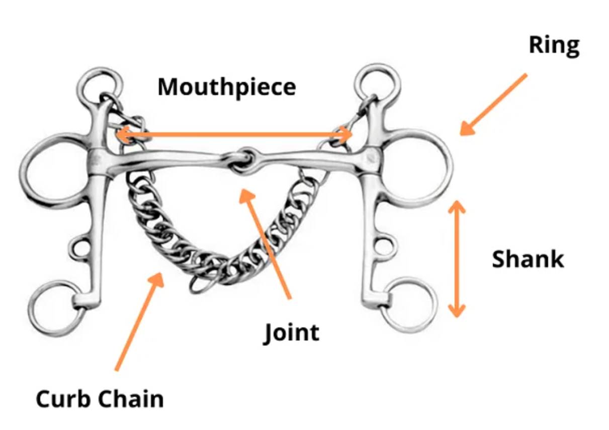 Types Of Curb Horse Bits