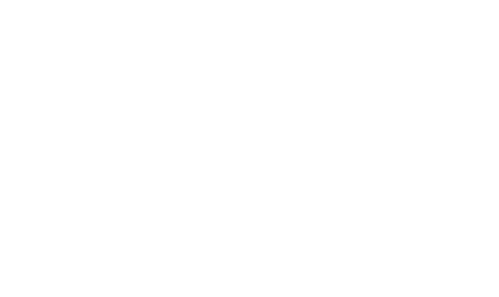 Born And Raised Logo