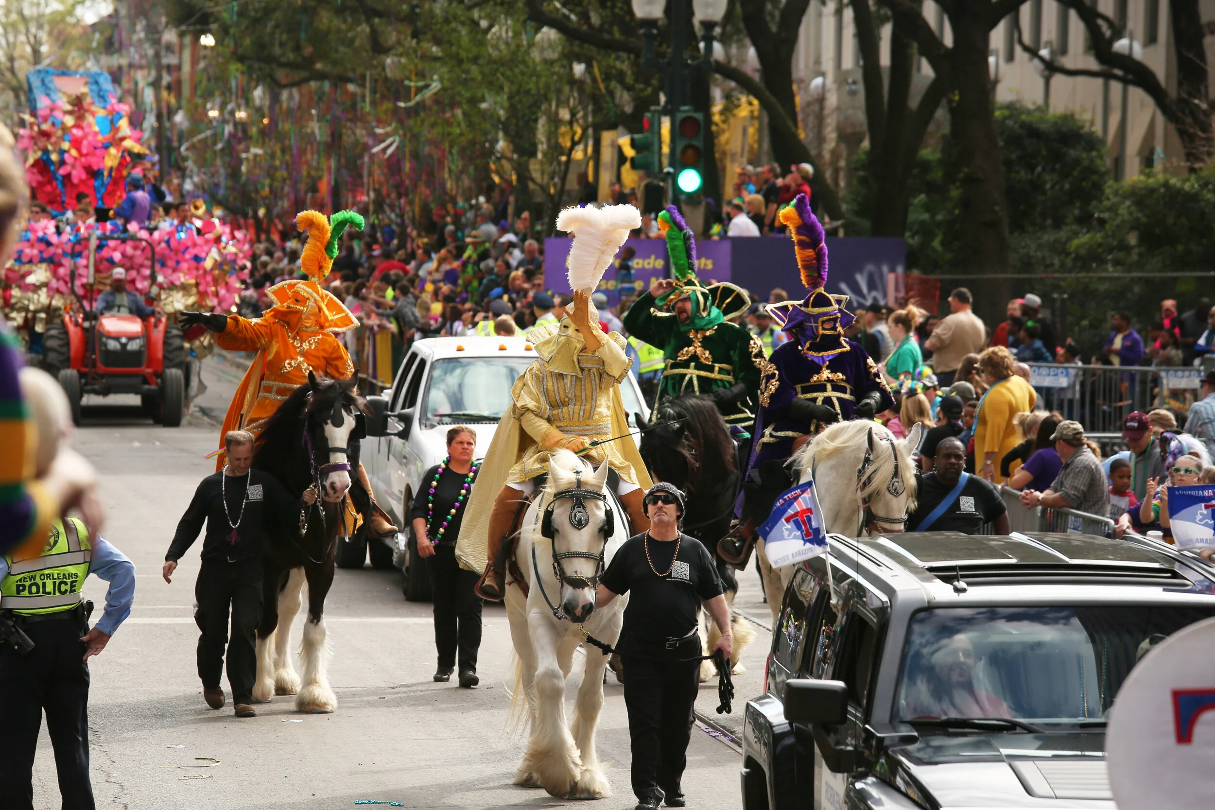 Past Parade Themes — Krewe of Mid City