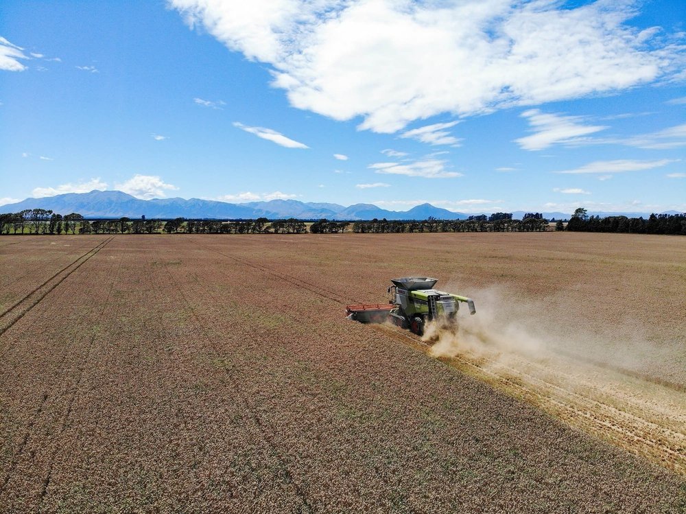 Tom Rudge — Golden Bay Dolomite