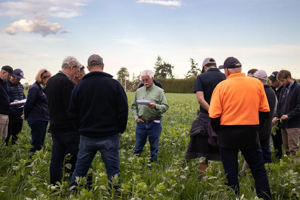 Albrecht Soil System — Golden Bay Dolomite