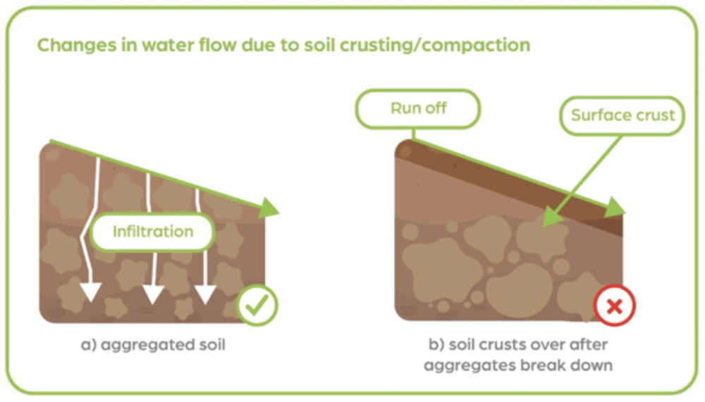 Improve your soil’s water-holding capacity over Summer — Golden Bay ...
