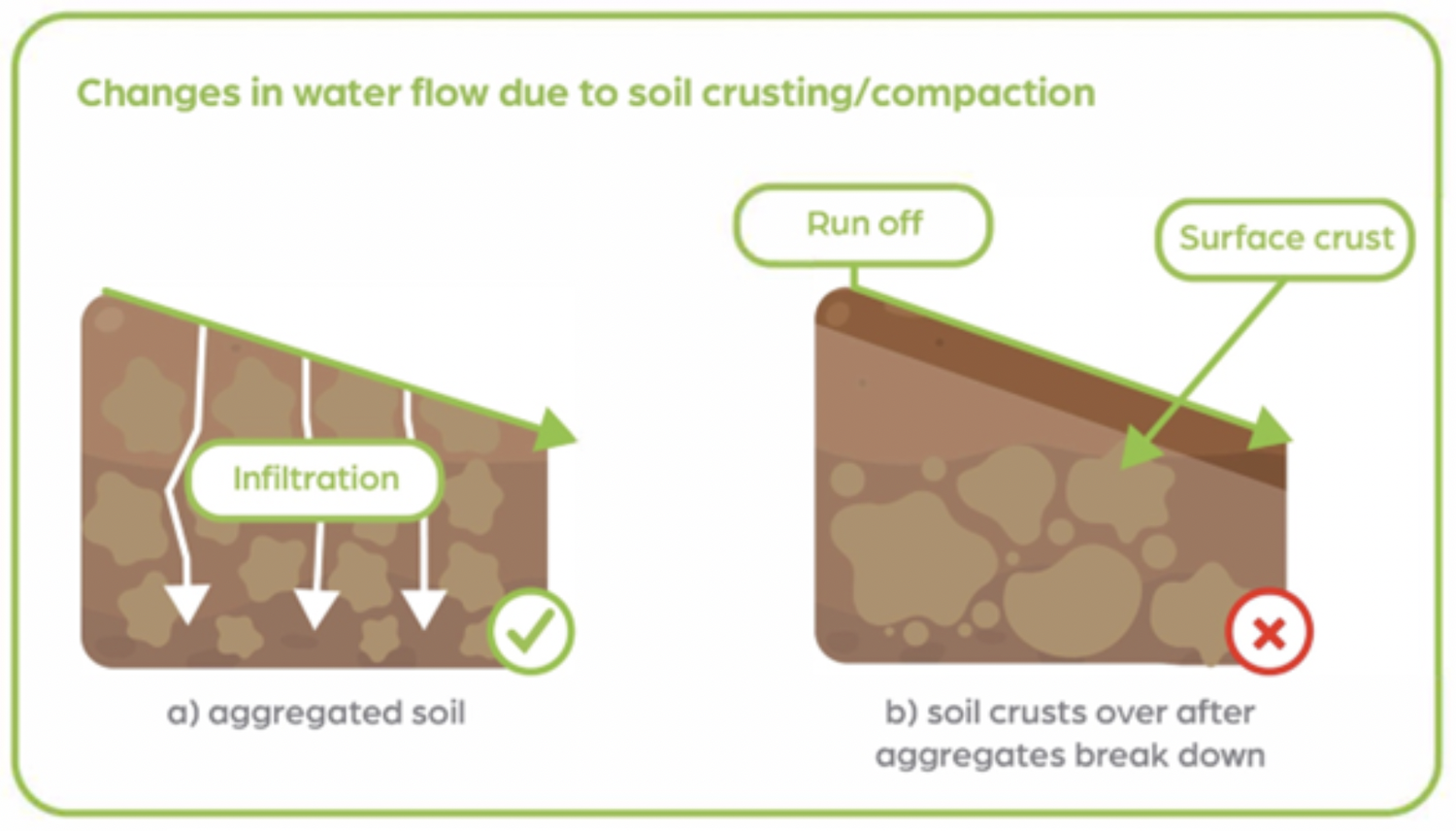 Improve your soil’s water-holding capacity over Summer — Golden Bay ...