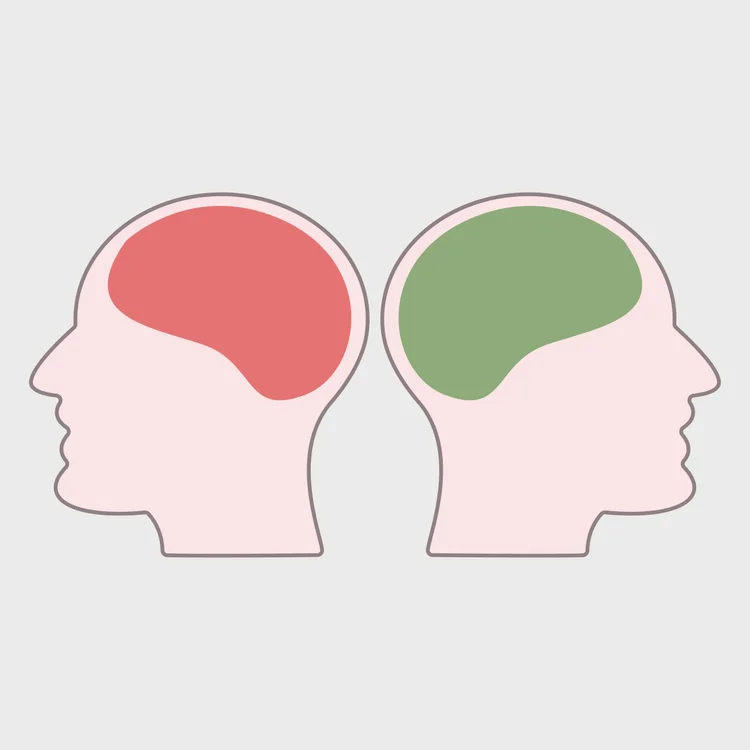Red/Green Brain: Activating the Stress Response — RISE