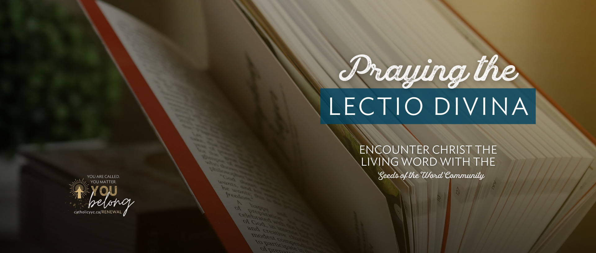 Lectio Divina — Seeds of the Word