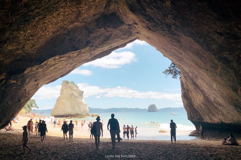 A Guide to the Coromandel Pinnacles Walk — Laura the Explorer