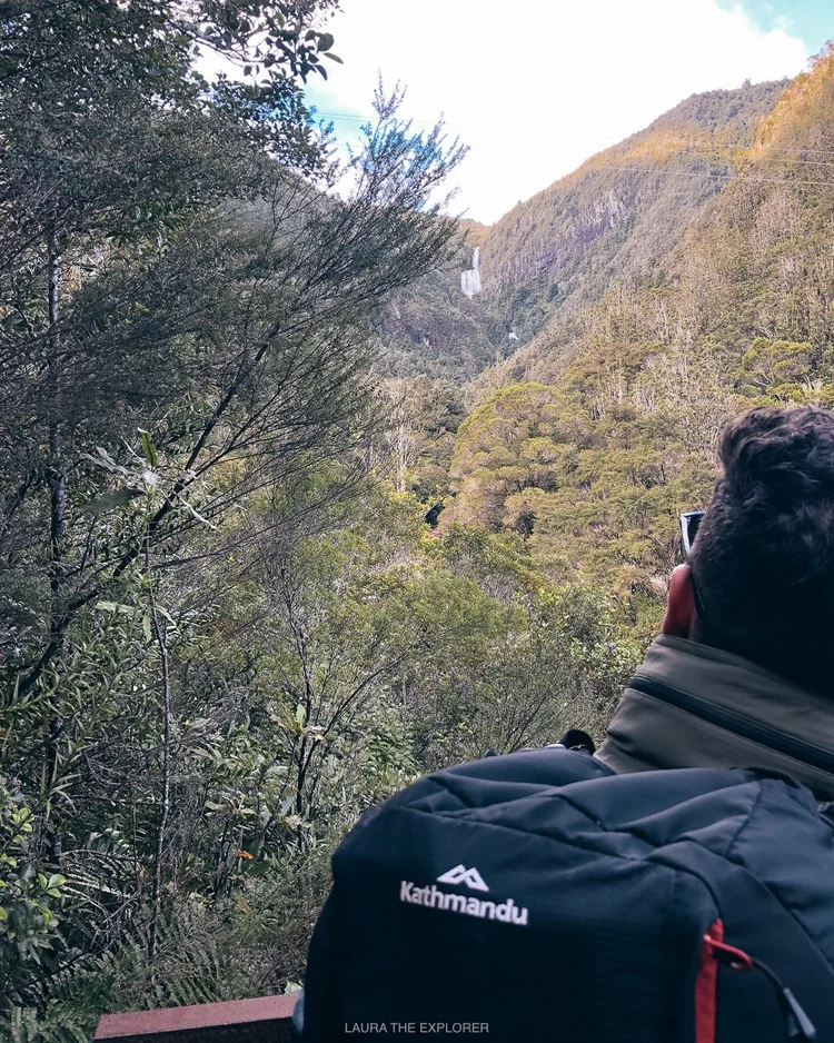 A Guide to the Coromandel Pinnacles Walk — Laura the Explorer