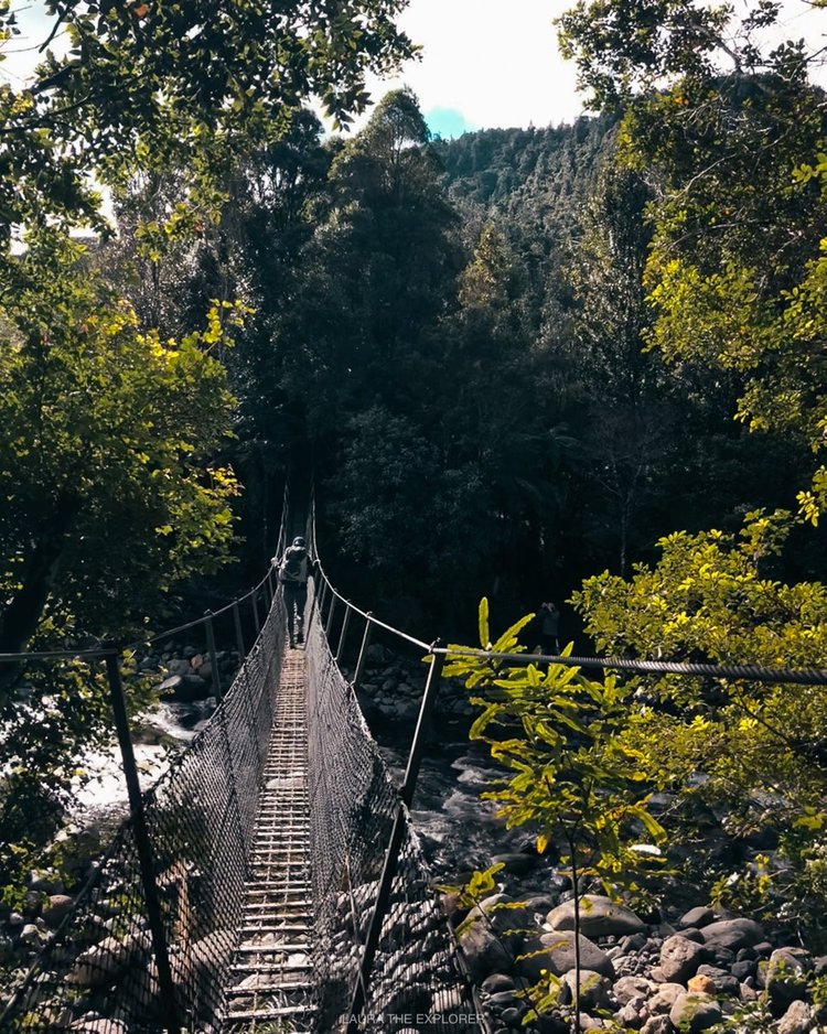A Guide to the Coromandel Pinnacles Walk — Laura the Explorer