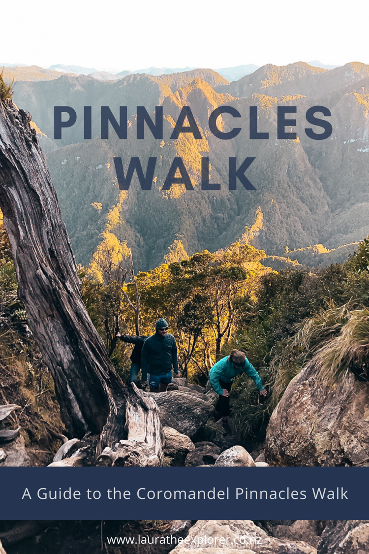 A Guide to the Coromandel Pinnacles Walk — Laura the Explorer