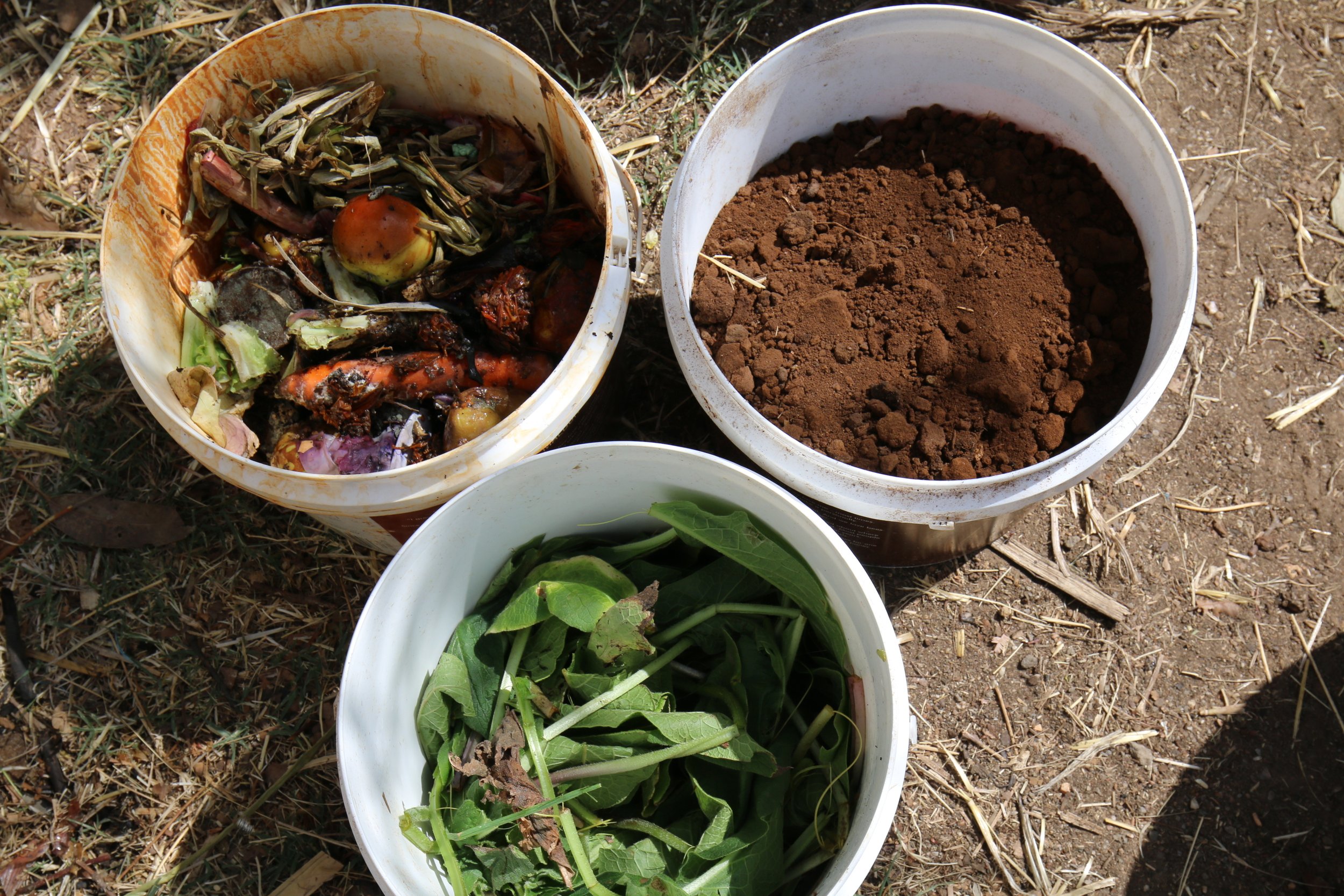 Light, dry and unhappy — Yimby Compost