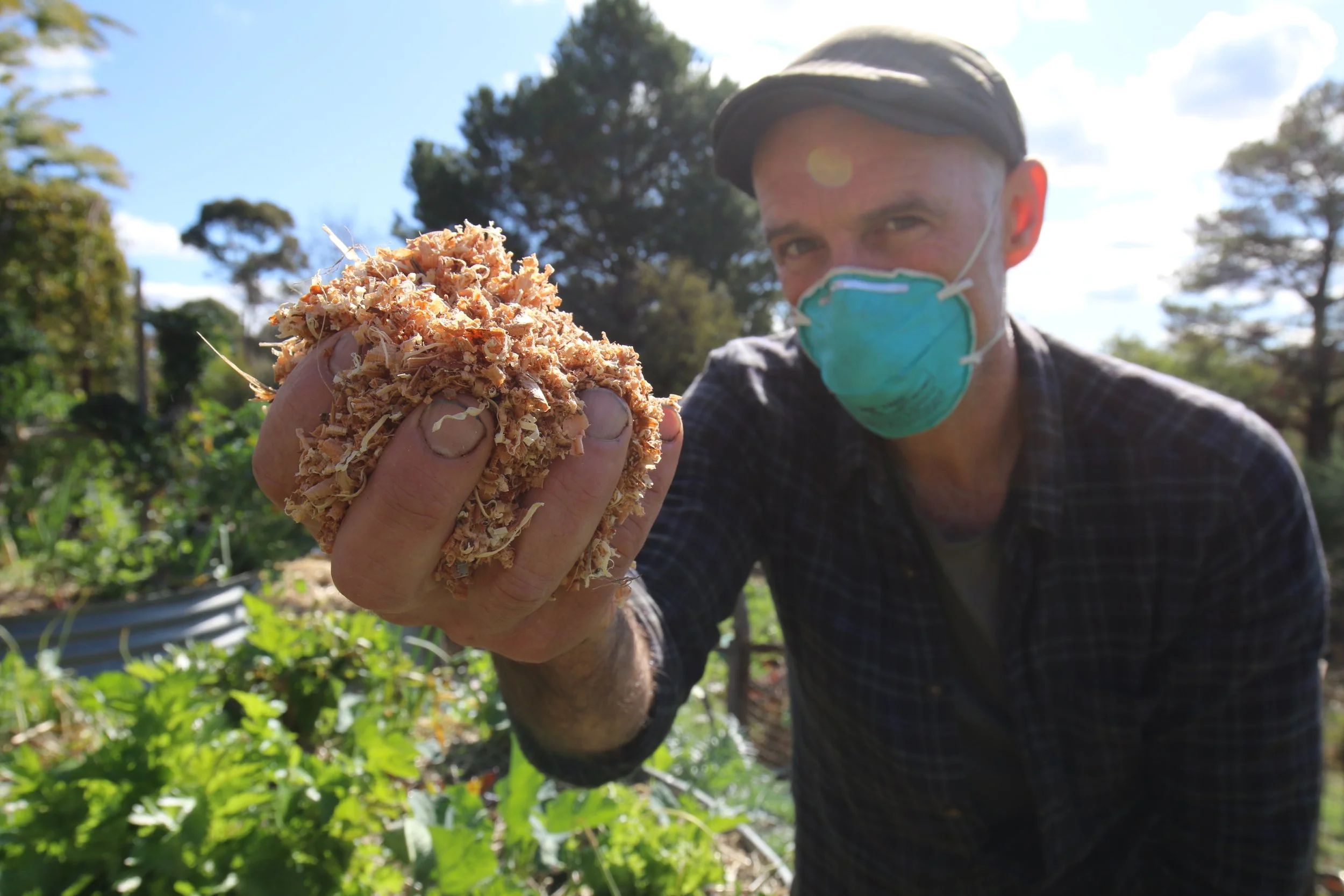 Composting saw-dust and wood-shavings — Yimby Compost