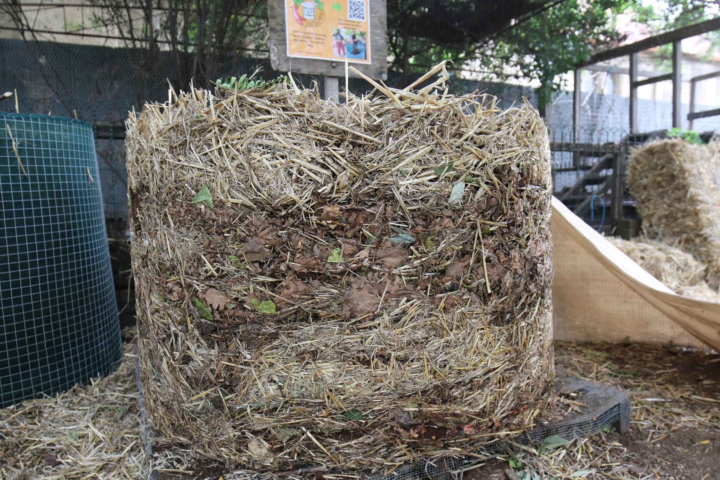 Flat out for great compost — Yimby Compost