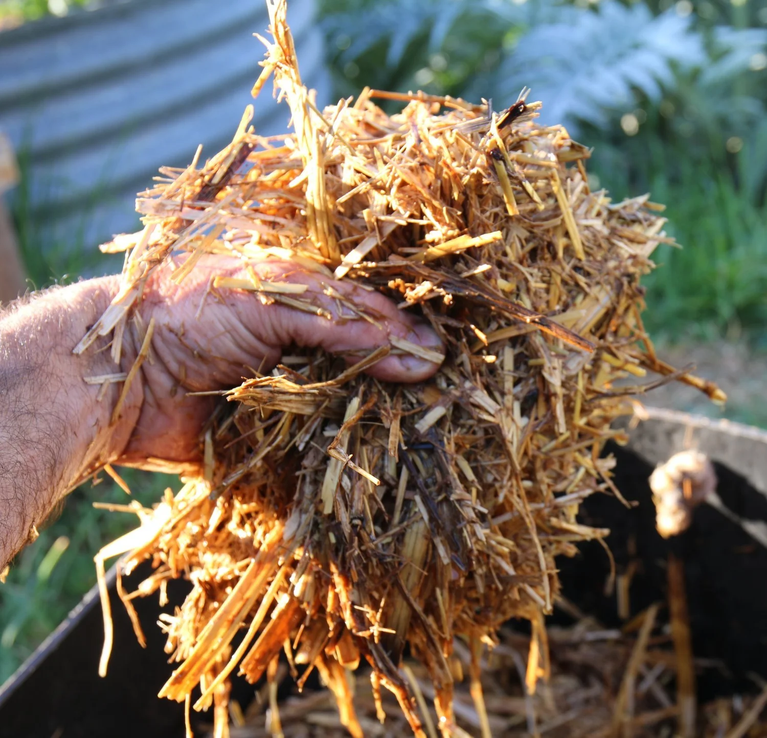 Summer CompostING — Yimby Compost
