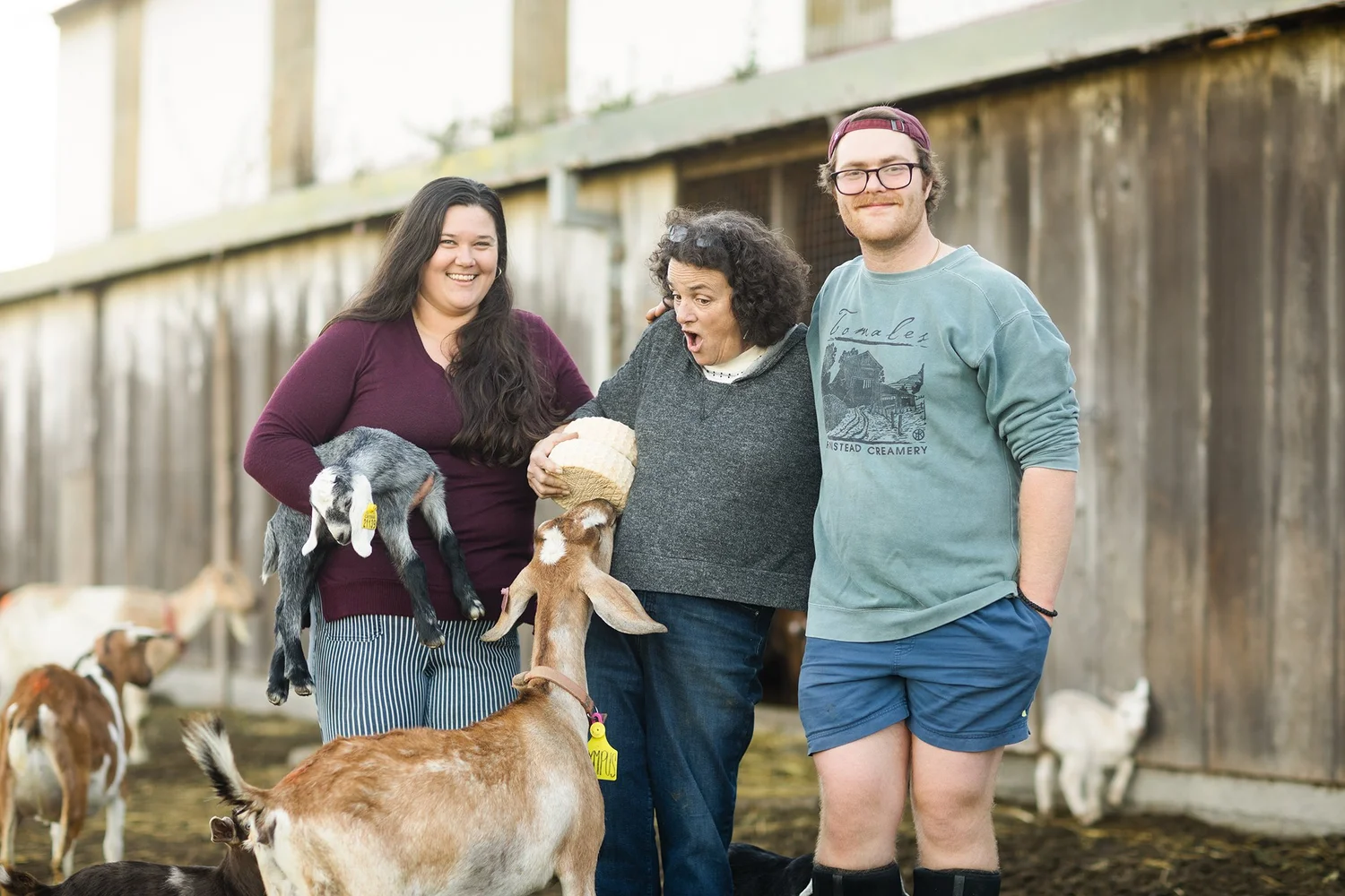 Toluma Farms & Tomales Farmstead Creamery