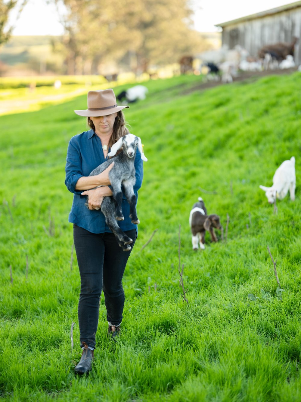 Farm Tours — Toluma Farms & Tomales Farmstead Creamery