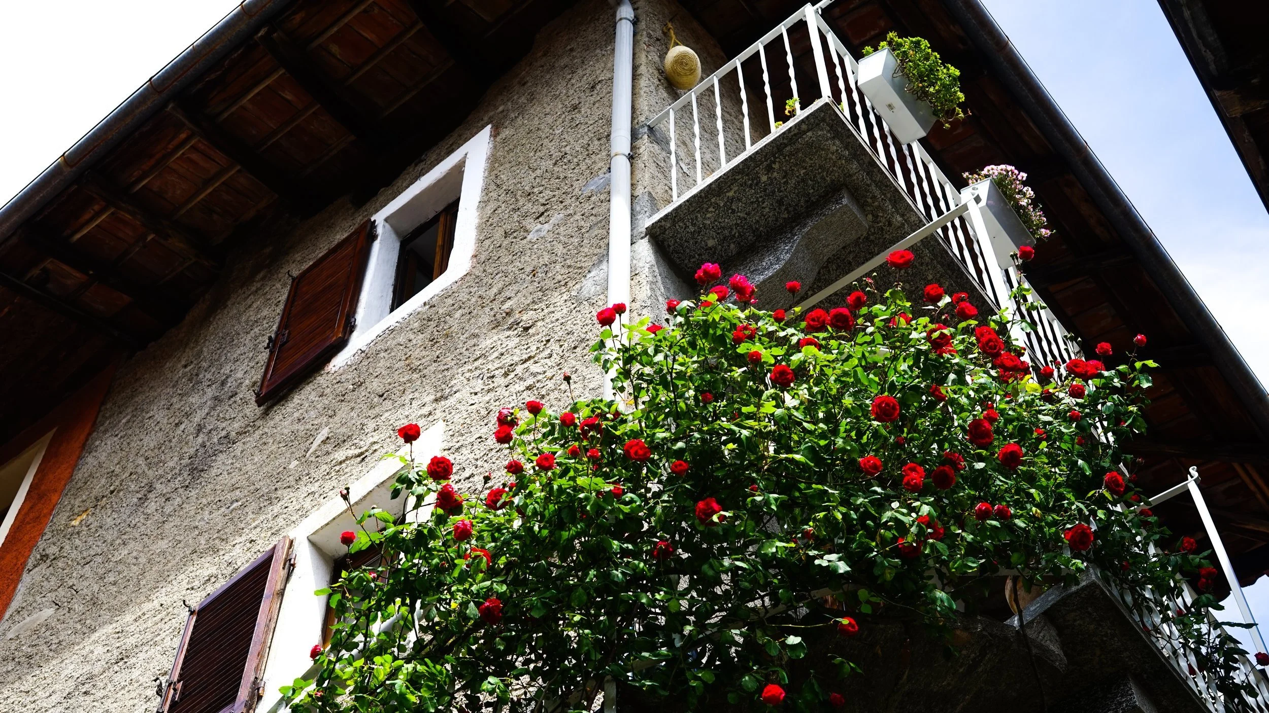 Moving to Italy: An interview with Homestead Hospitality