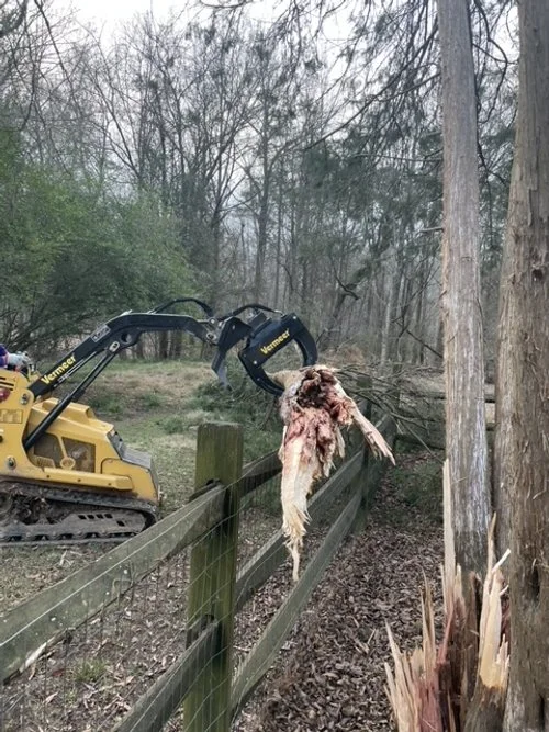 CoolWood Urban Forestry