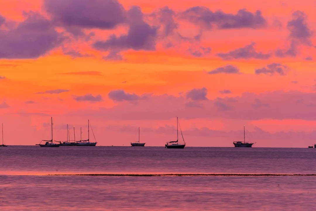 Retreats — key west yoga sanctuary