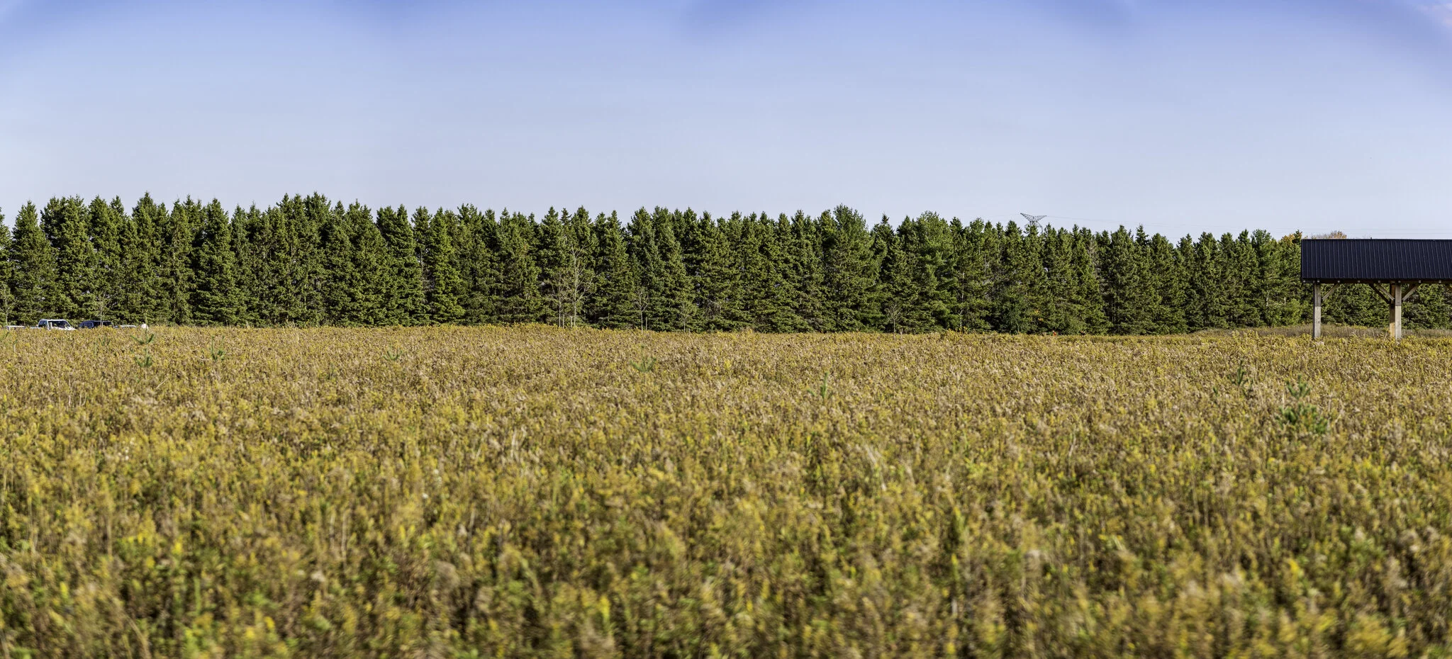 Heber Downs Conservation Area — Alexander Galant Photography