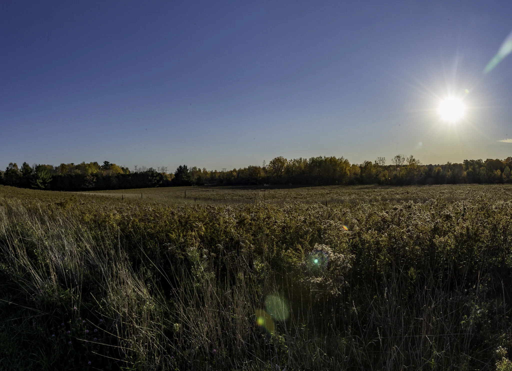 Heber Downs Conservation Area — Alexander Galant Photography