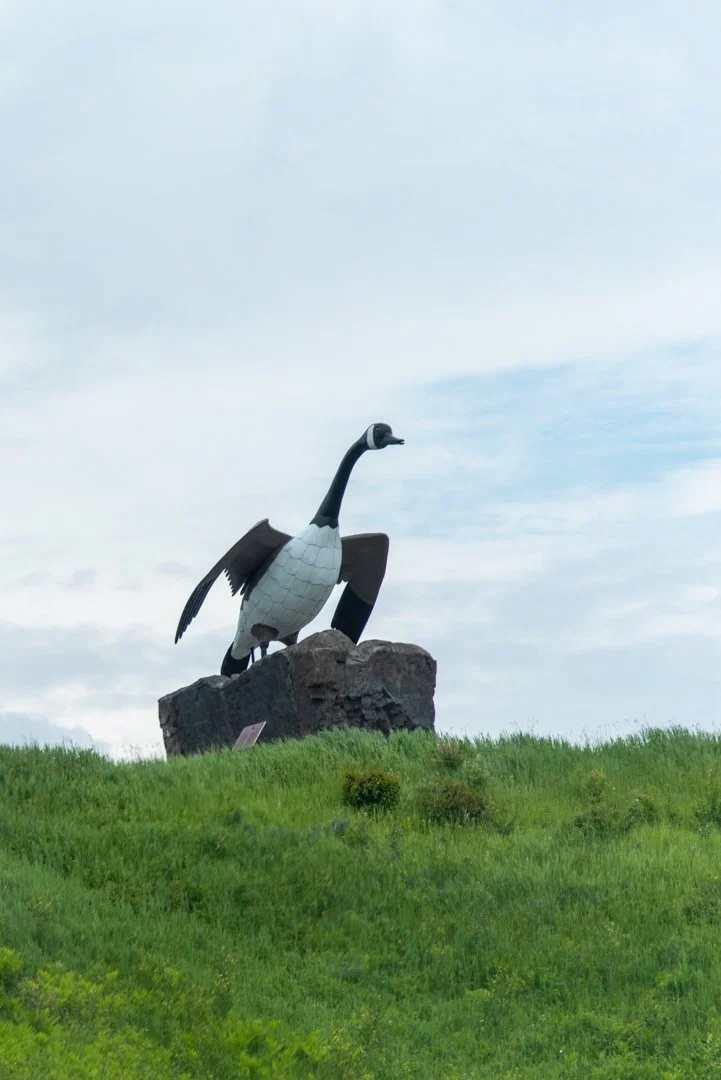 Trekking on back to Pancake Bay PP — Alexander Galant Photography