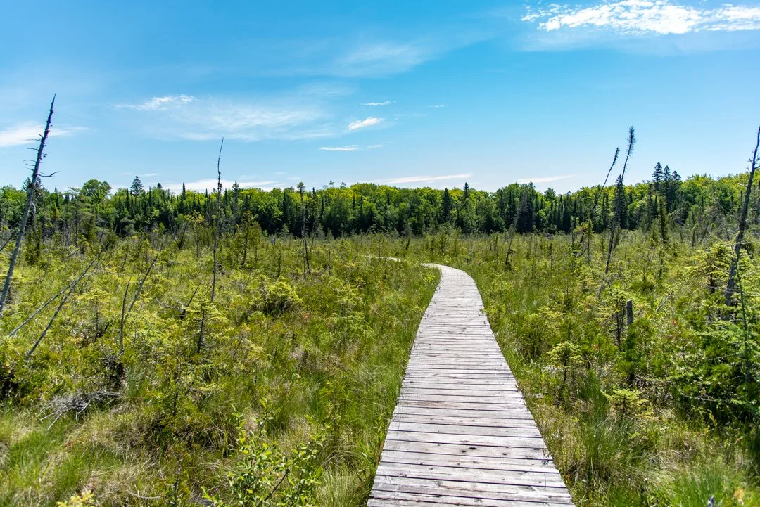 Trekking on back to Pancake Bay PP — Alexander Galant Photography