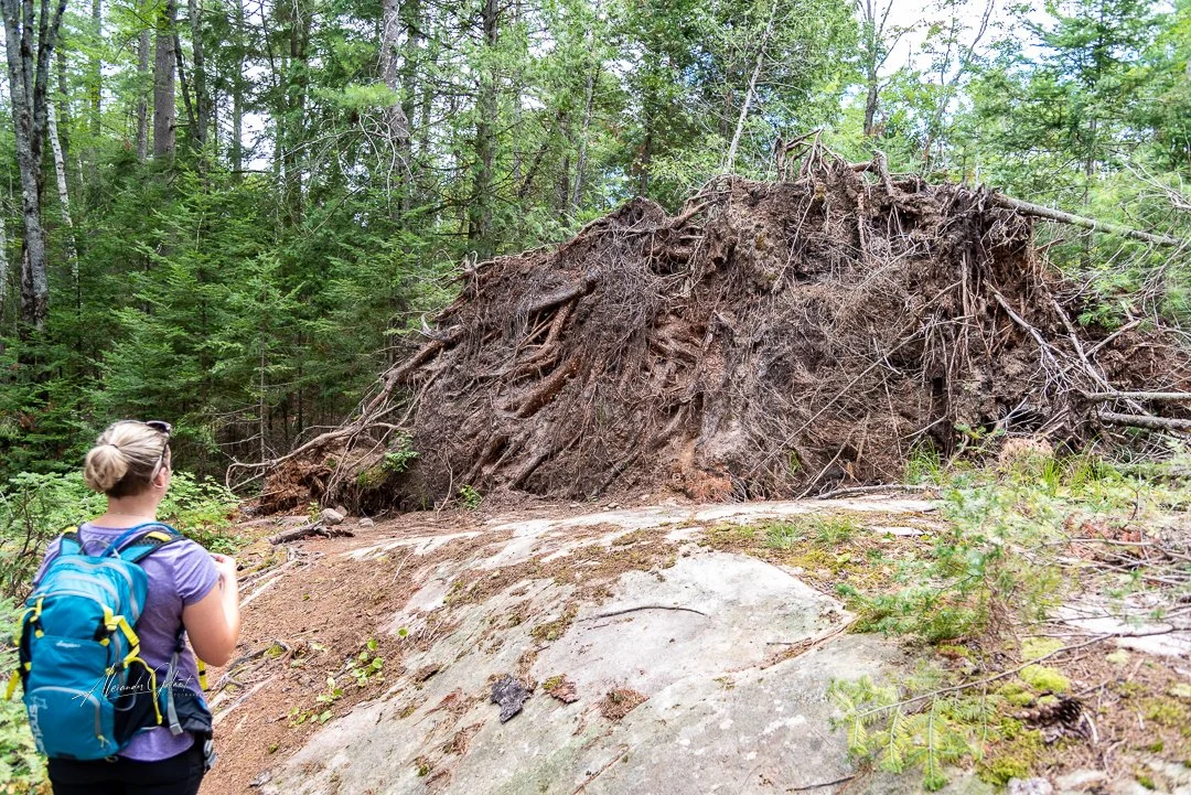 Sharbot Lake + Bon Echo Provincial Parks — Alexander Galant Photography