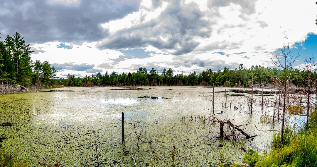 Sharbot Lake + Bon Echo Provincial Parks — Alexander Galant Photography