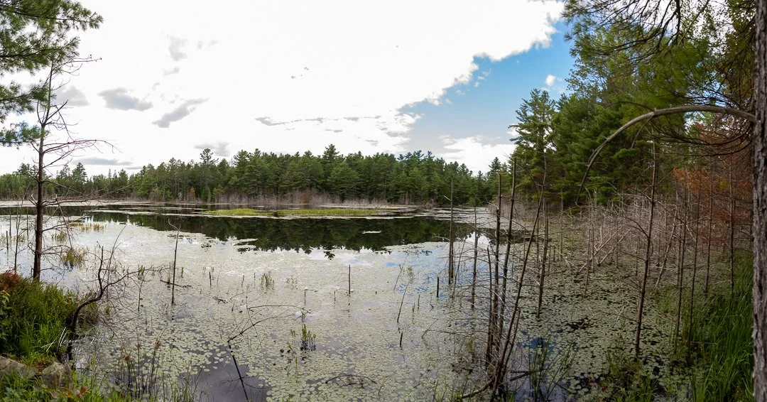 Sharbot Lake + Bon Echo Provincial Parks — Alexander Galant Photography