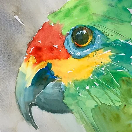 Art Workshops & Classes — Peninsula School of Art