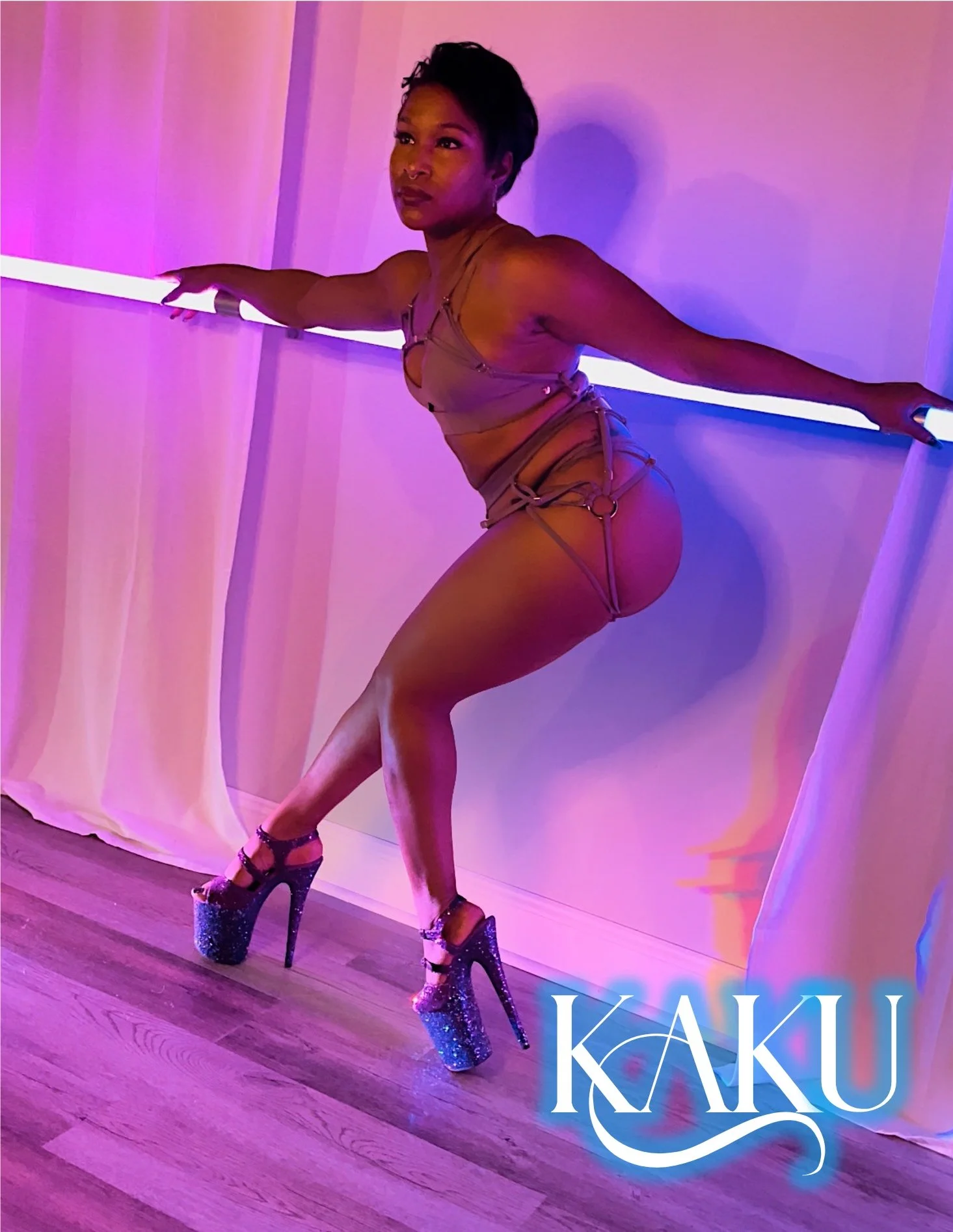 Pole Dance Instructors at Studio Nightshade — Studio Nightshade