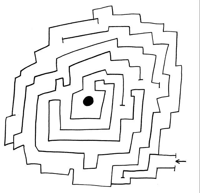 Mazes — Reinventing Optometry: OPSIS Optometric Professional Education