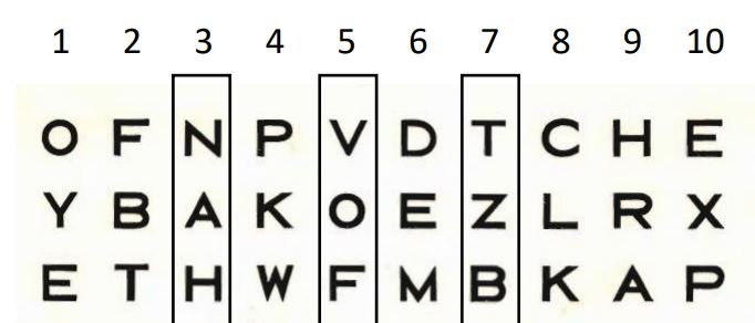 VT Activities Pics — Reinventing Optometry: OPSIS Optometric ...