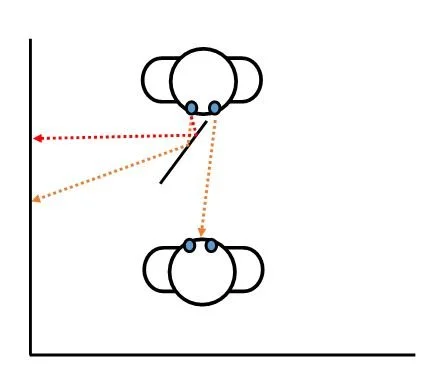 Mirror Overlap — Reinventing Optometry: OPSIS Optometric Professional ...