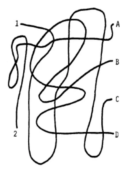 Line Tracing — Reinventing Optometry: OPSIS Optometric Professional ...