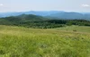Max Patch, NC