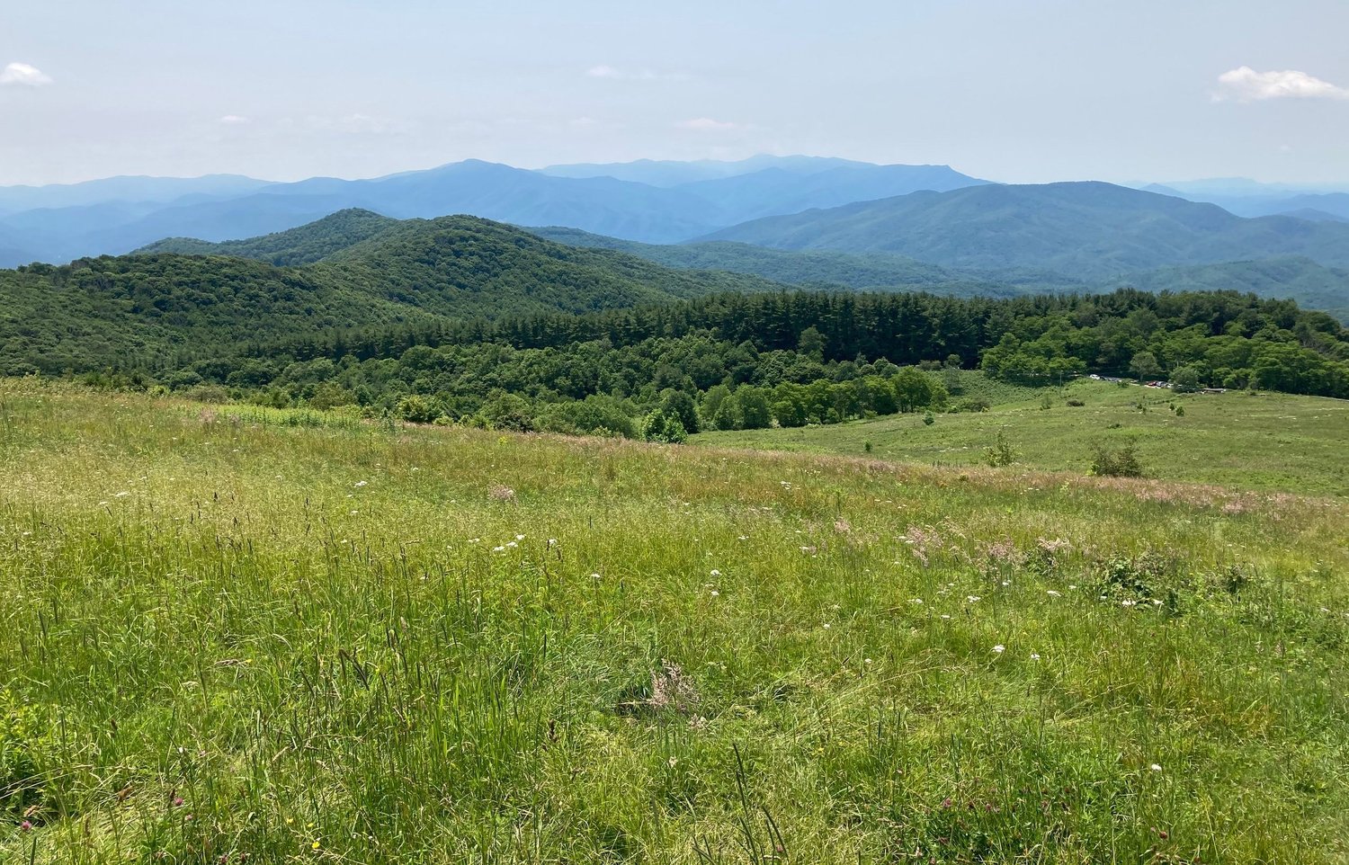 Max Patch, NC