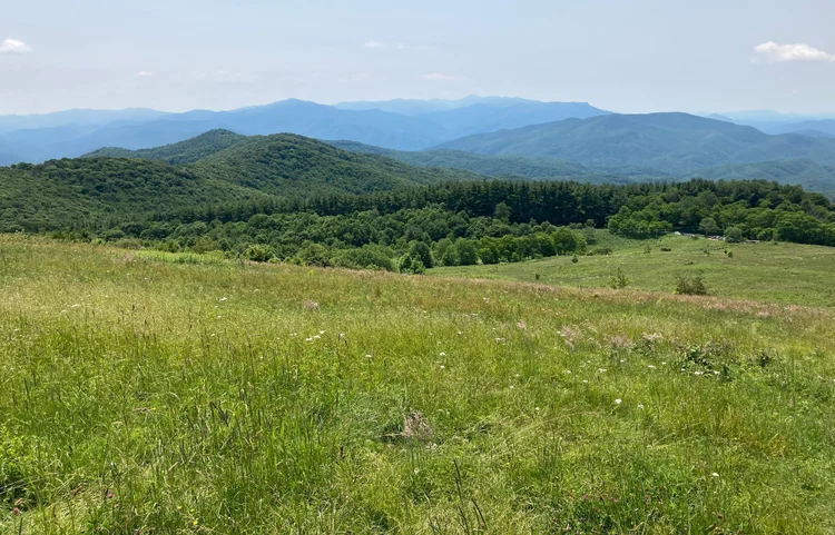 Max Patch, NC