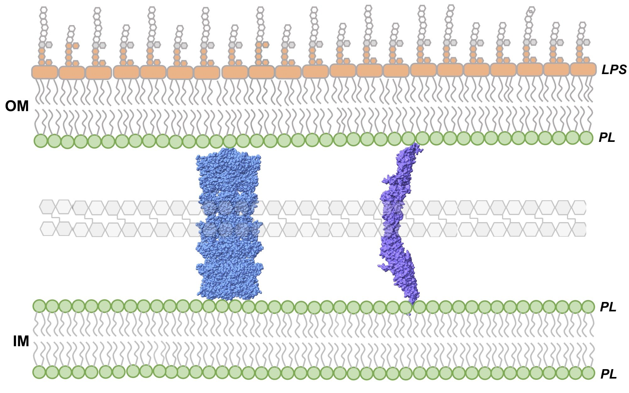 Research — Isom Lab