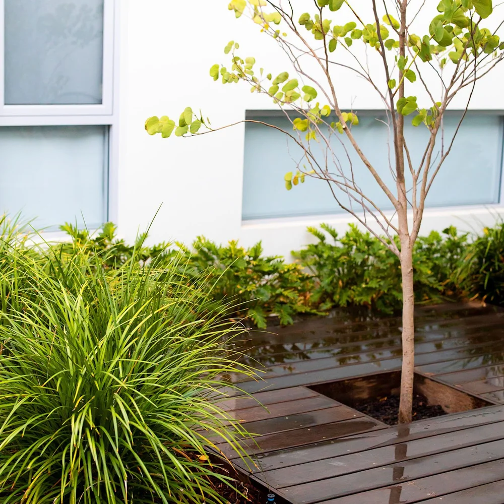 Landscape Design Studio - Services — Garden Insight